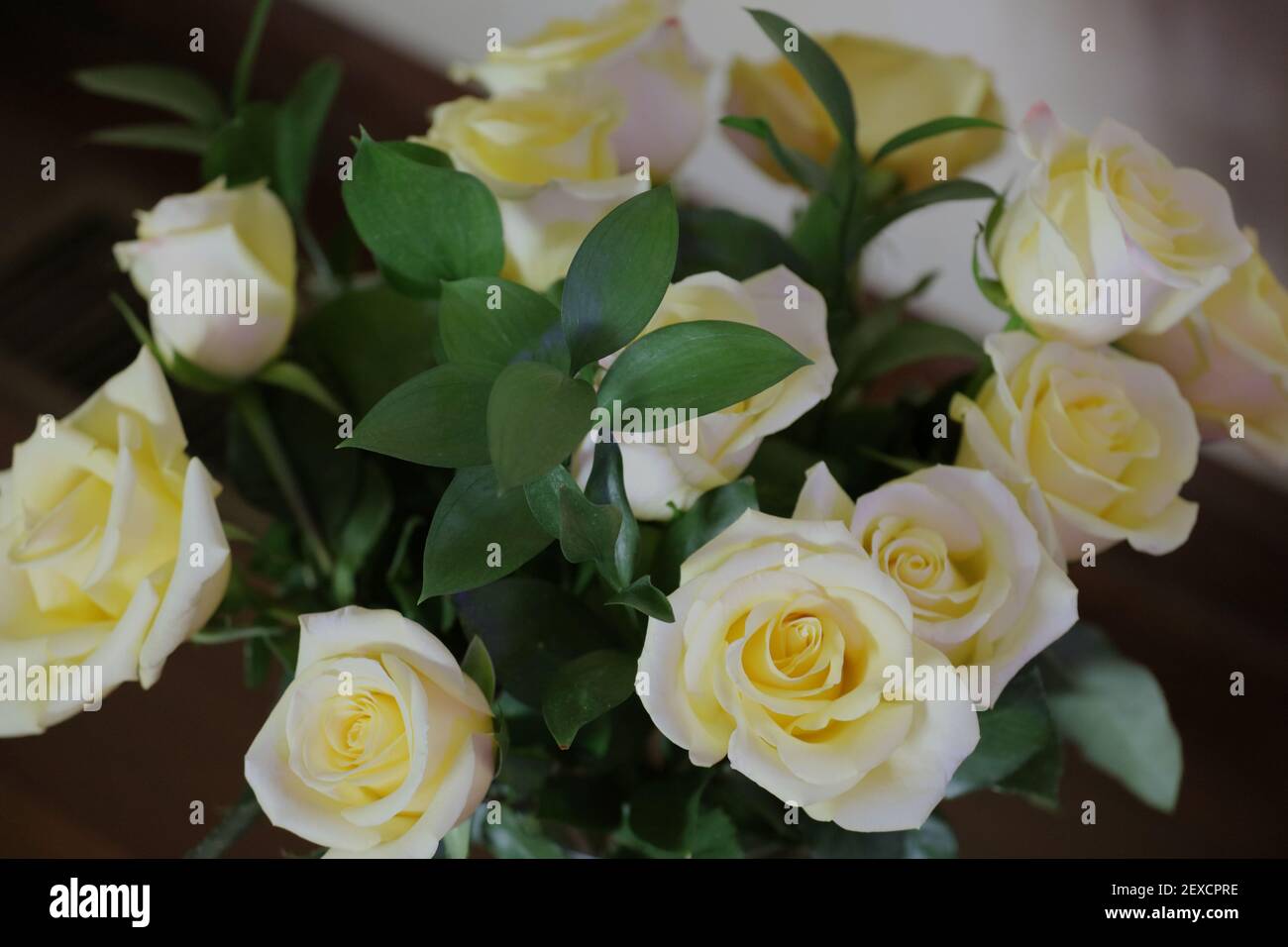 Long stem yellow roses hi-res stock photography and images - Alamy