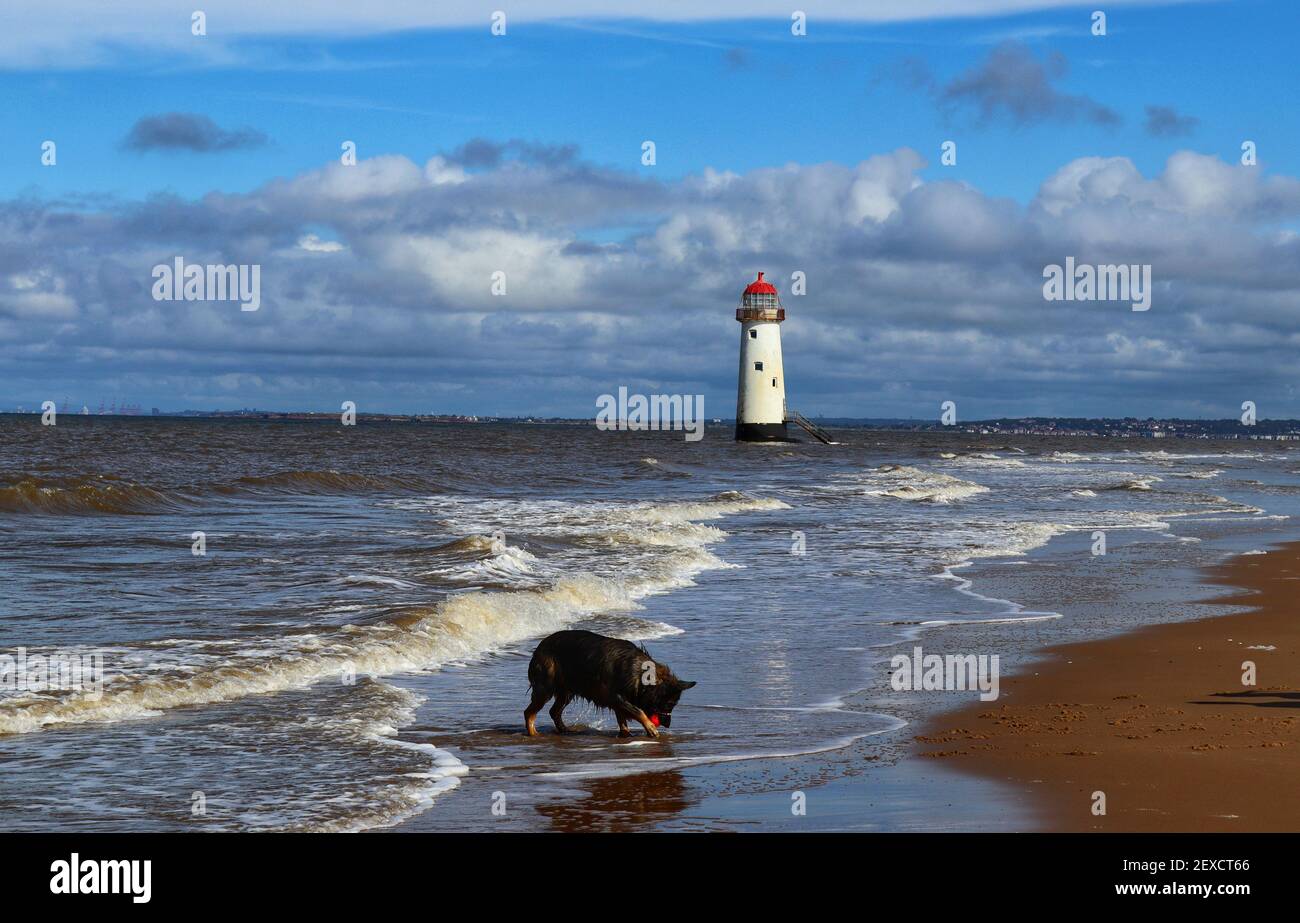 Can You Take Dogs On Talacre Beach