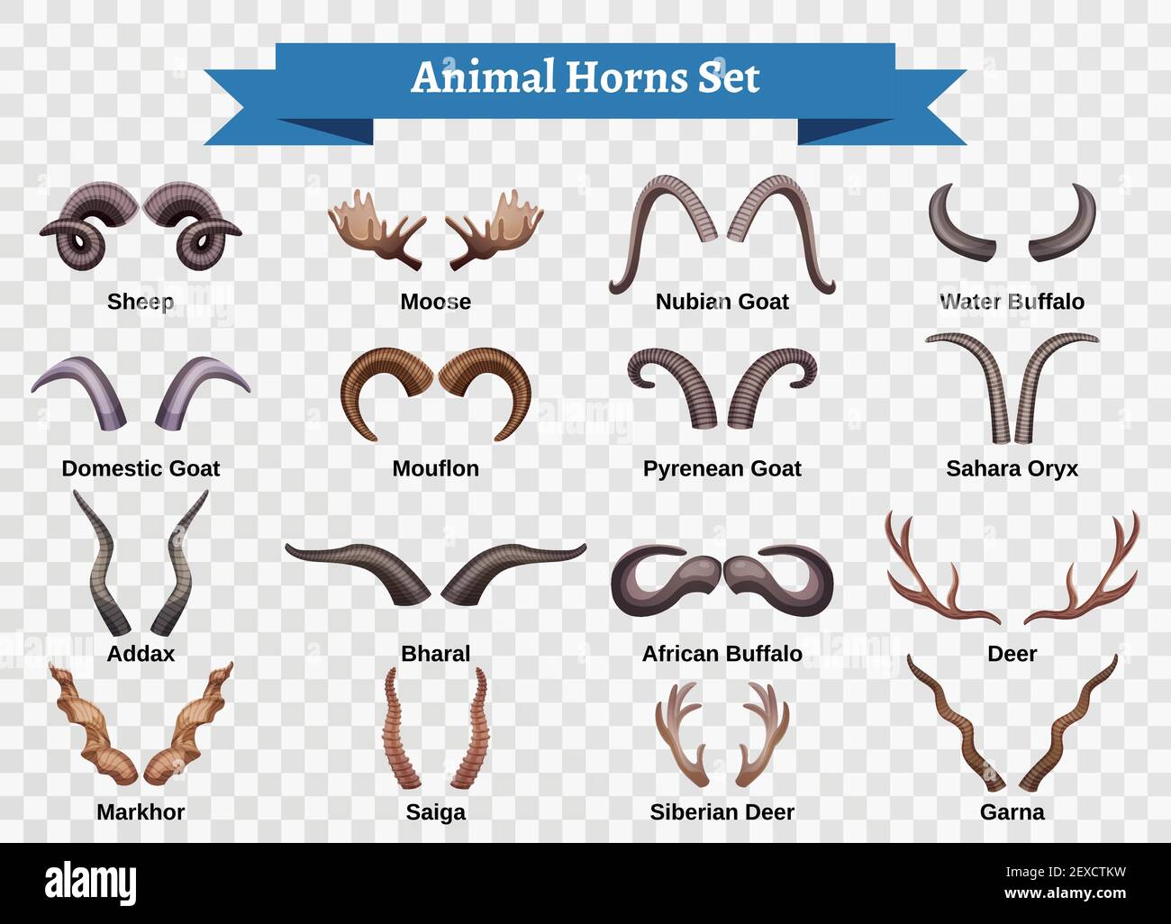 Horns horizontal transparent set with doodle style isolated images of ...