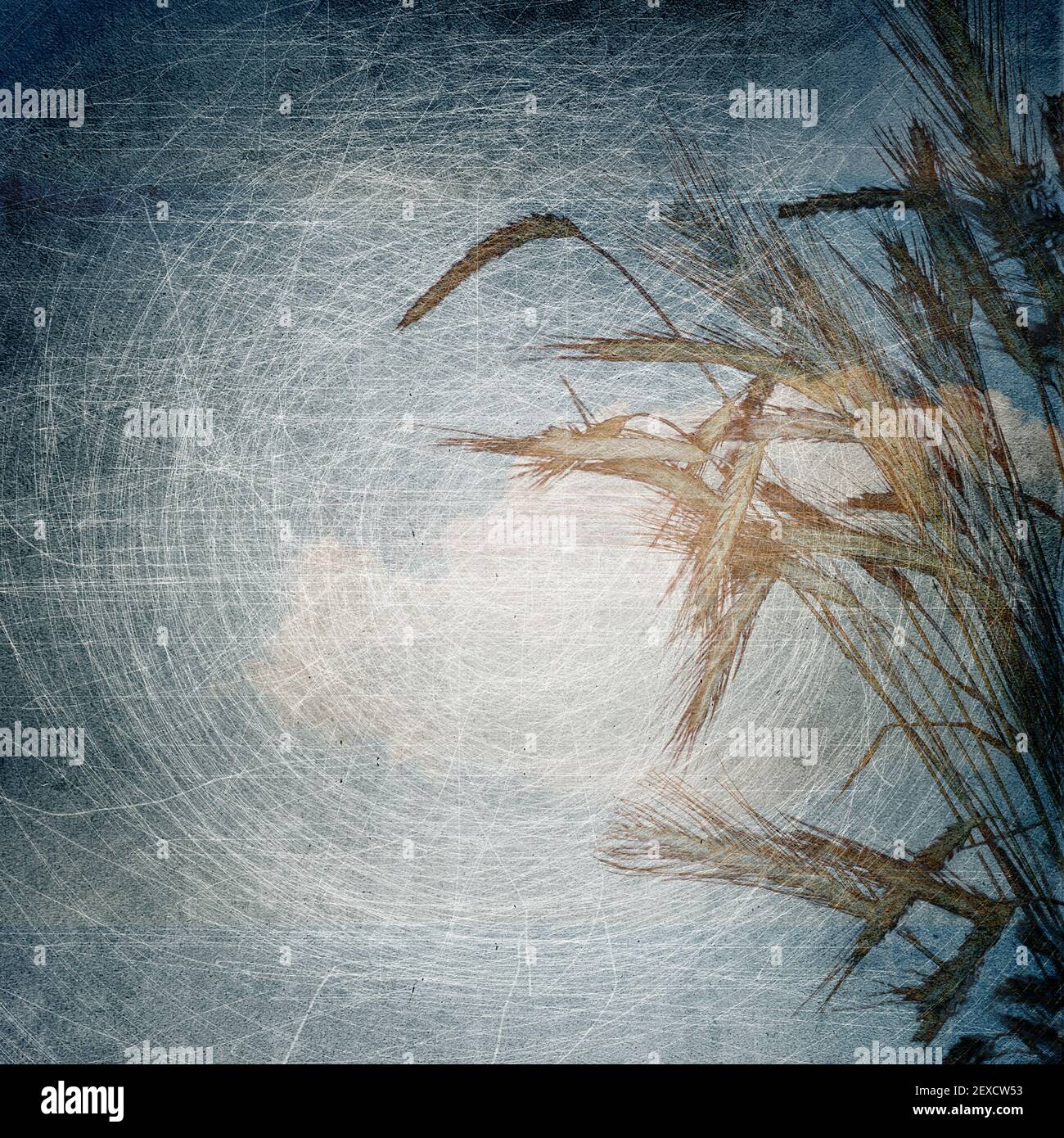 Grunge retro vintage paper texture background Stock Photo - Alamy Grunge retro vintage paper texture background Stock Photo - Alamy