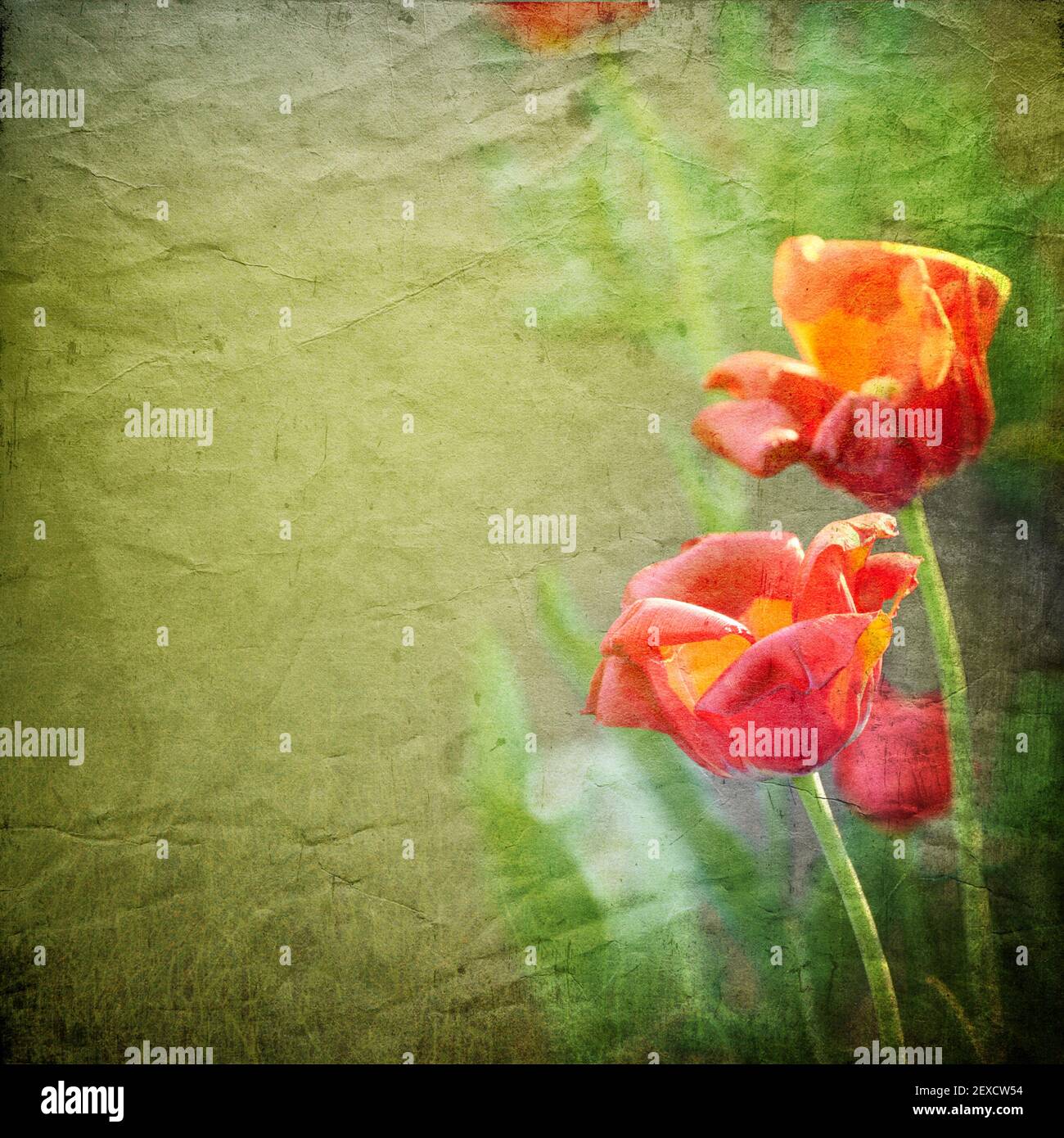 Grunge paper texture. abstract nature background Stock Photo - Alamy