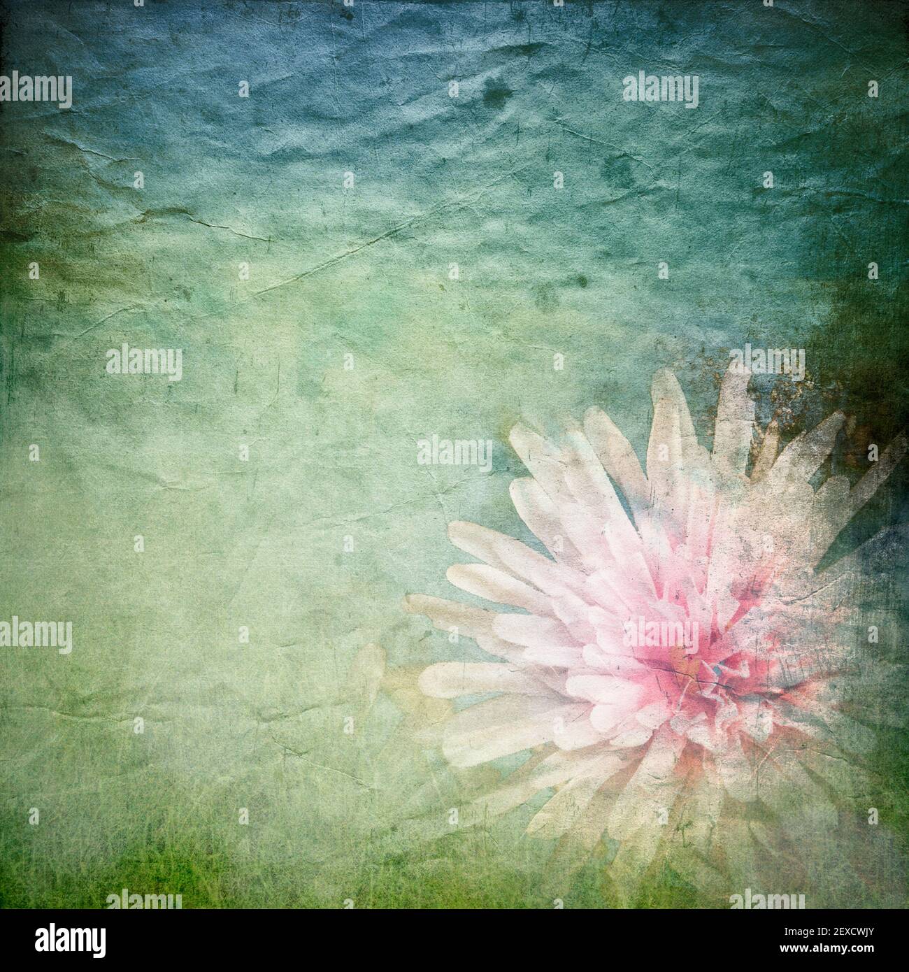 Grunge paper texture. abstract nature background Stock Photo - Alamy