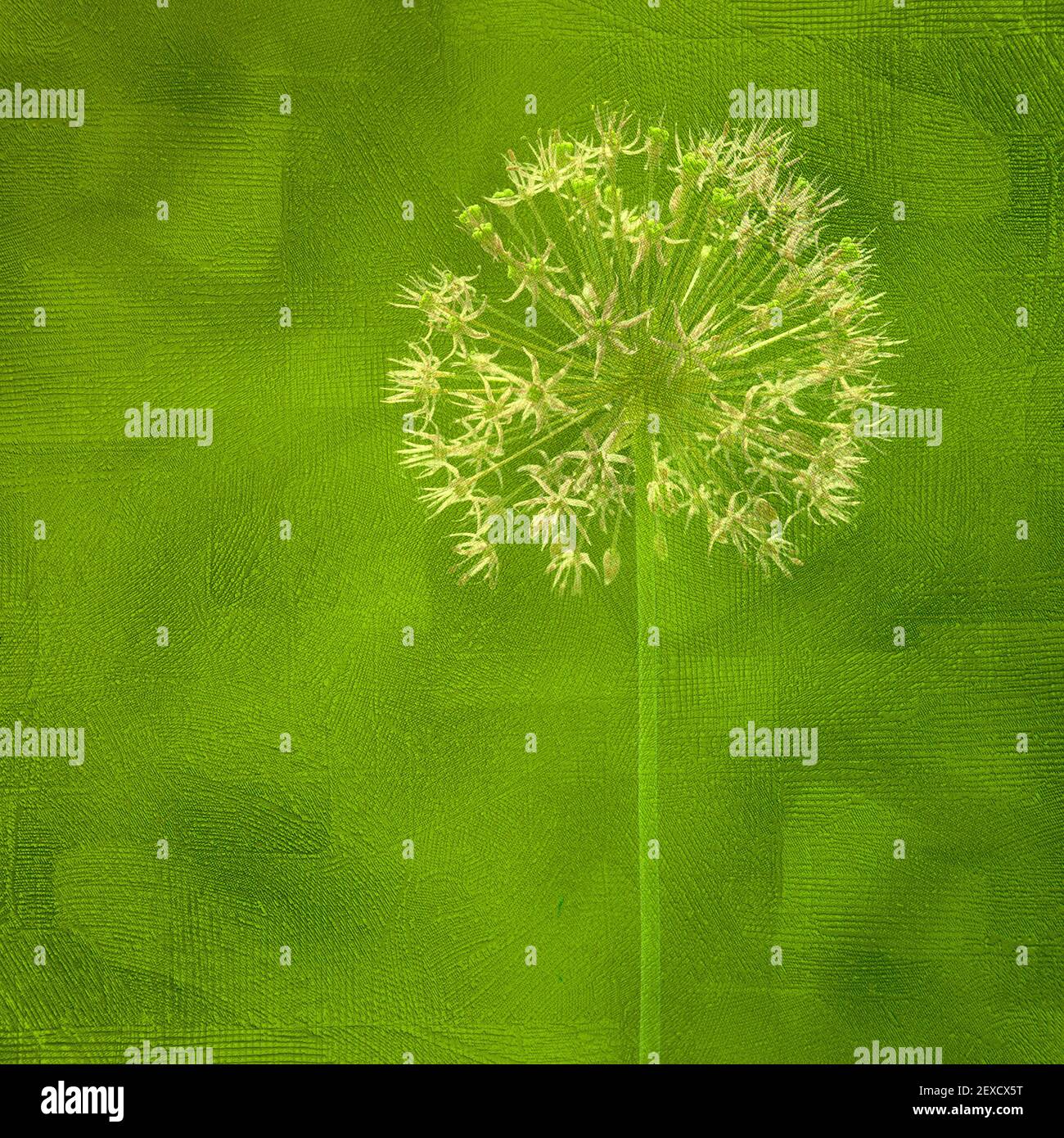 Grunge paper texture. abstract nature background Stock Photo - Alamy