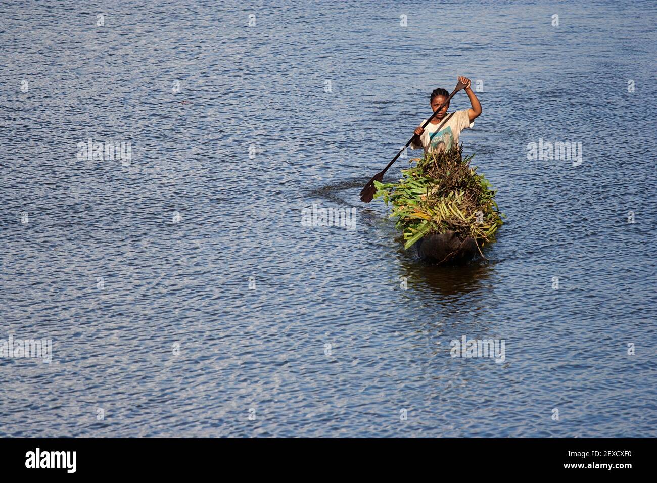 Paddling in traditional handmade wooden pirogue canoe, Maroansetra ...