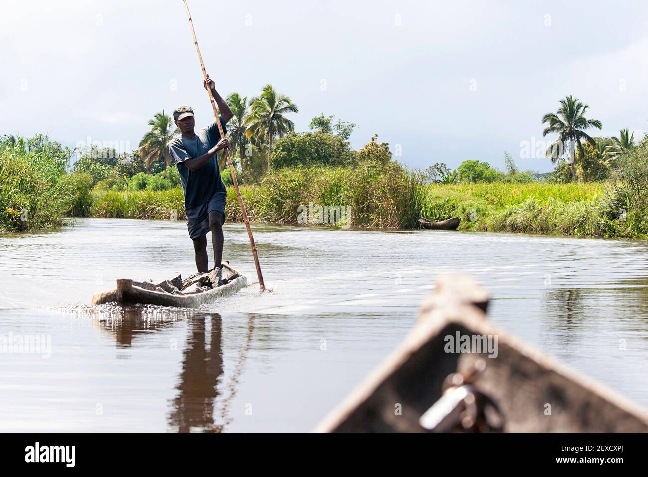 Man punting pirogue with push pole, traditional handmade wooden pirogue ...