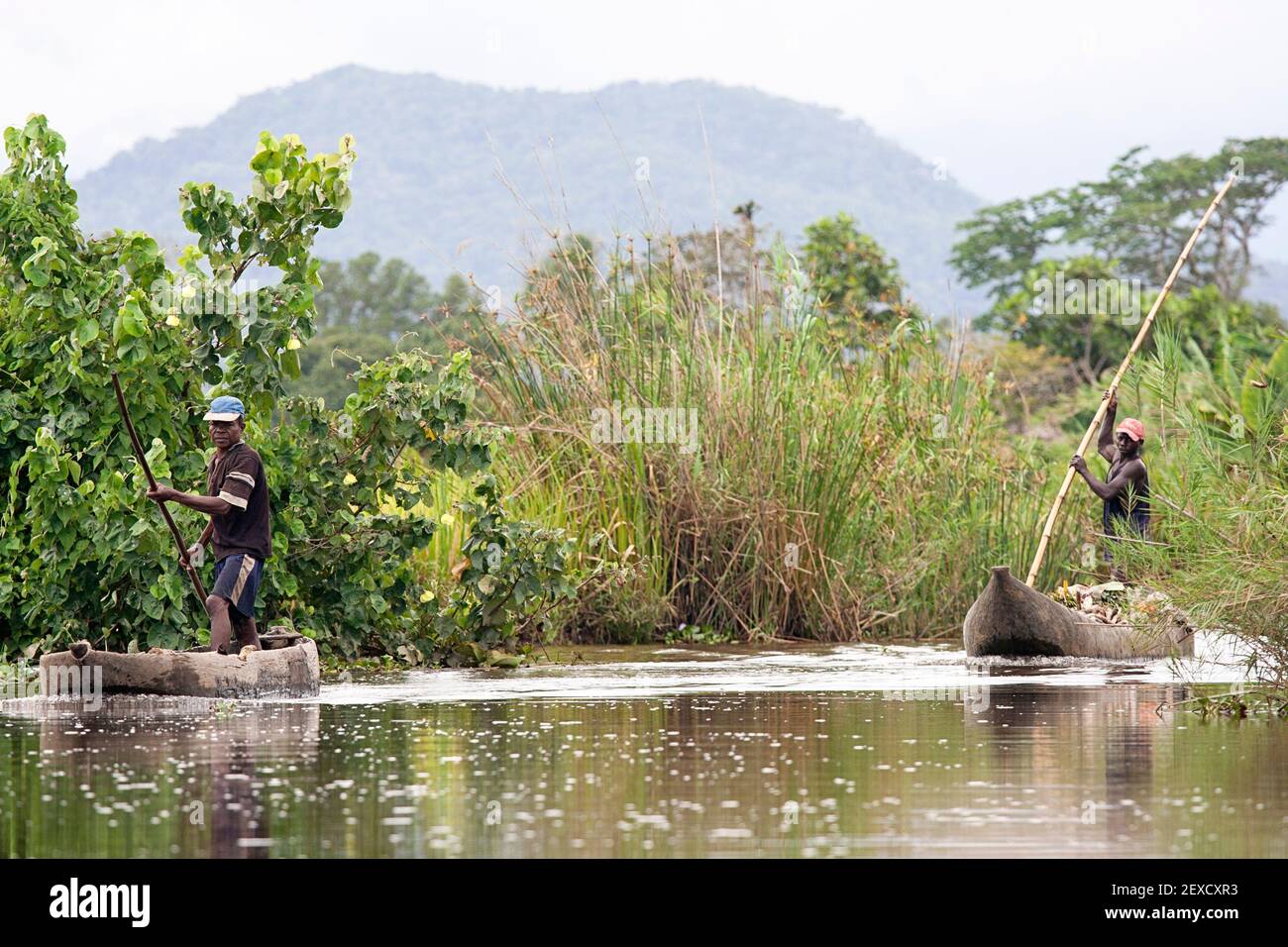 Men punting pirogue with push pole, traditional handmade wooden pirogue ...