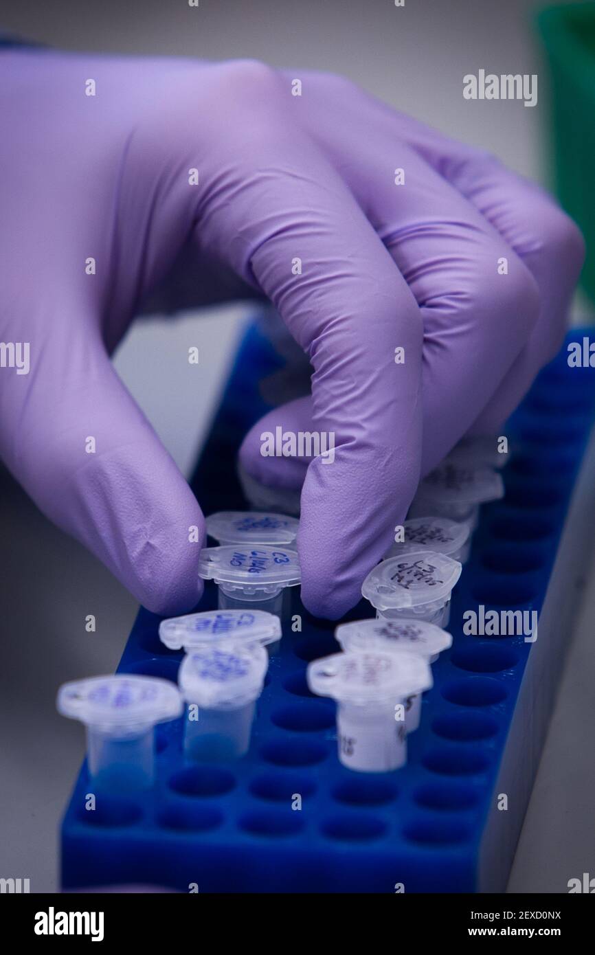 Skin samples provided by a pharma firm are studied in a University of ...