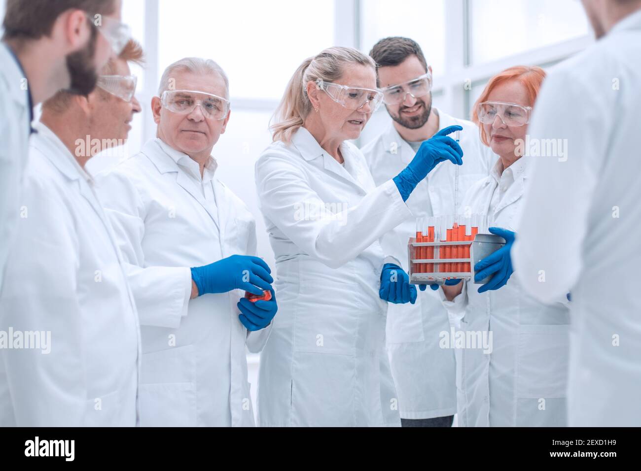 group of medical laboratory employees discussing the results of the ...