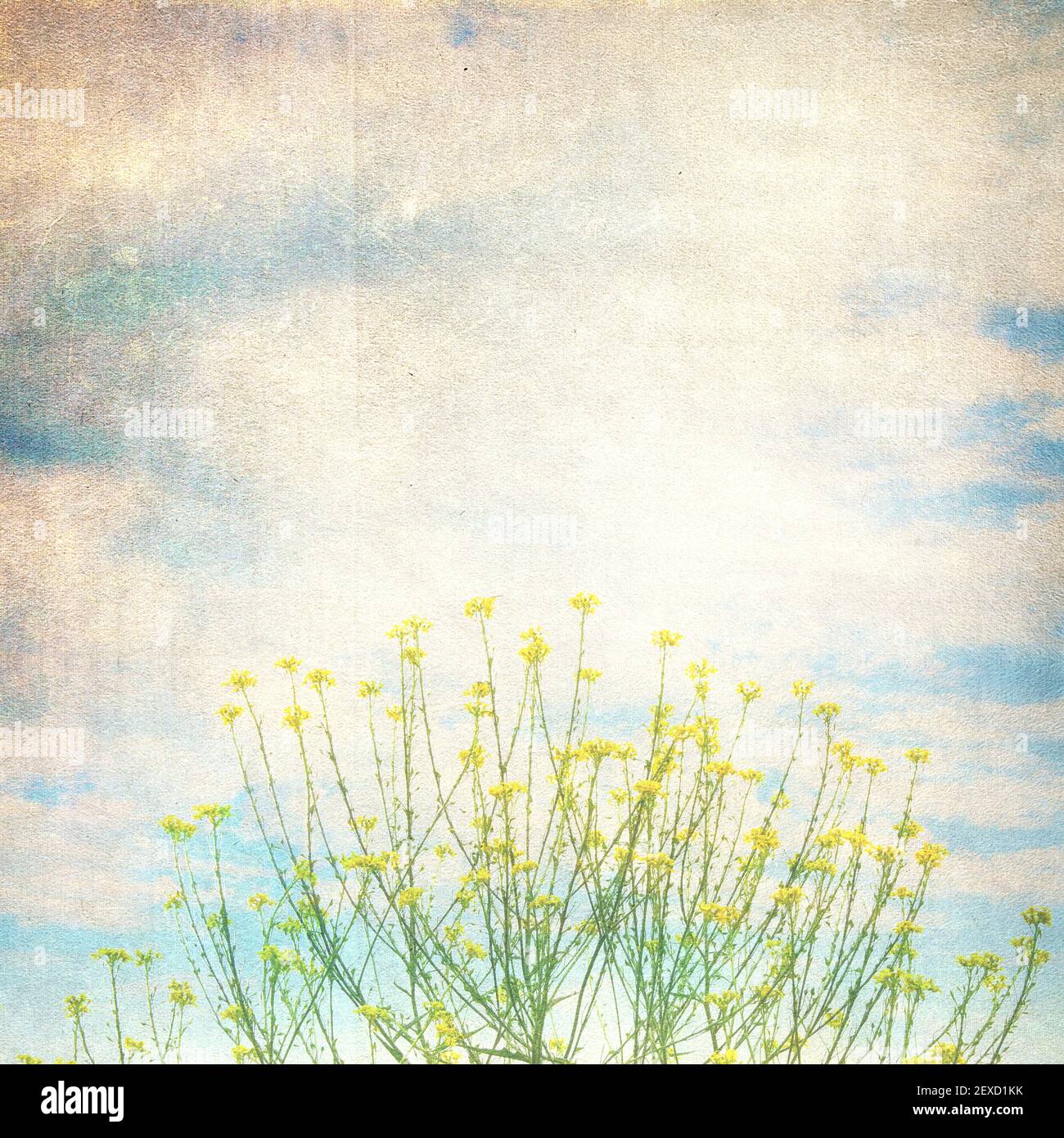 Grunge paper texture. abstract nature background Stock Photo - Alamy