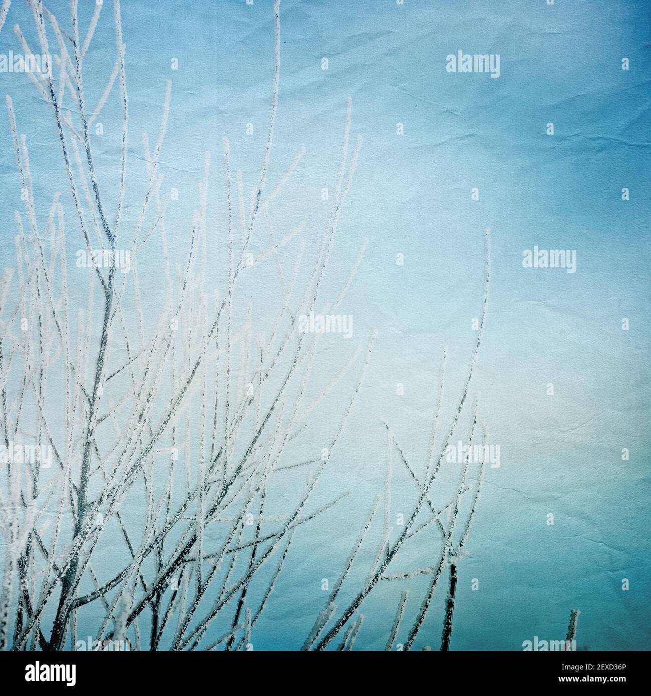 Grunge paper texture. abstract nature background Stock Photo - Alamy