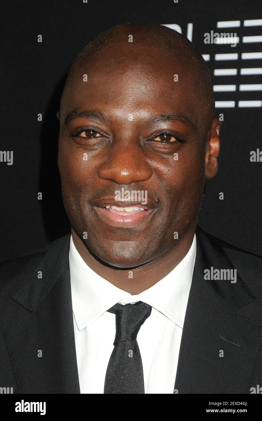 27 October 2015 - Beverly Hills, California - Adewale Akinnuoye-Agbaje ...