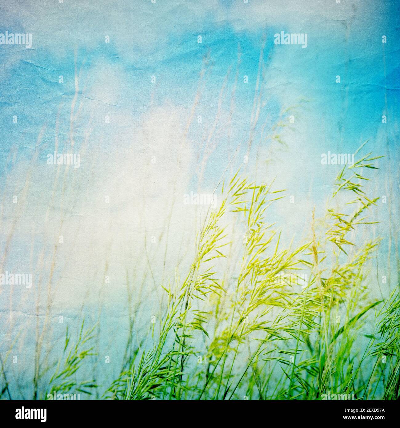 Grunge paper texture. abstract nature background Stock Photo - Alamy