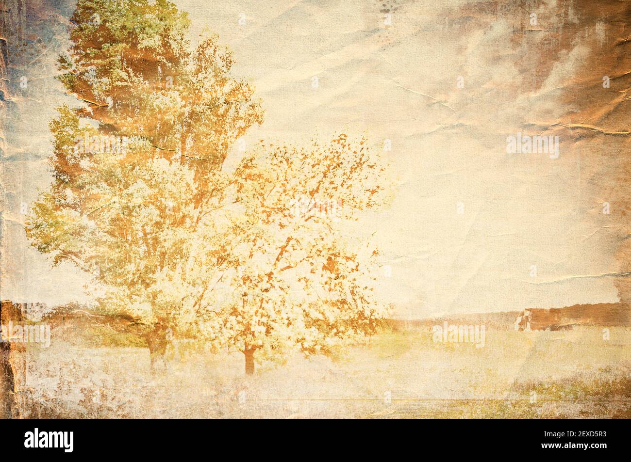 Grunge paper texture. abstract nature background Stock Photo - Alamy