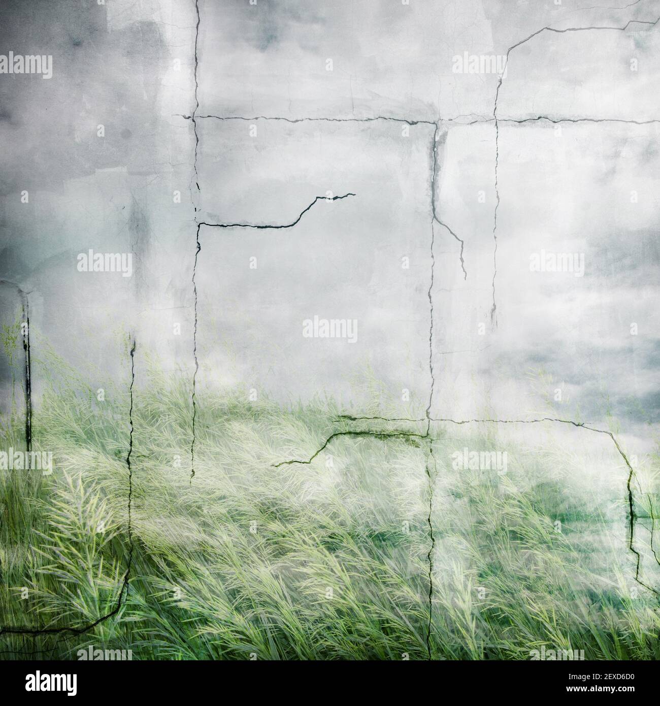 Grunge paper texture. abstract nature background Stock Photo - Alamy