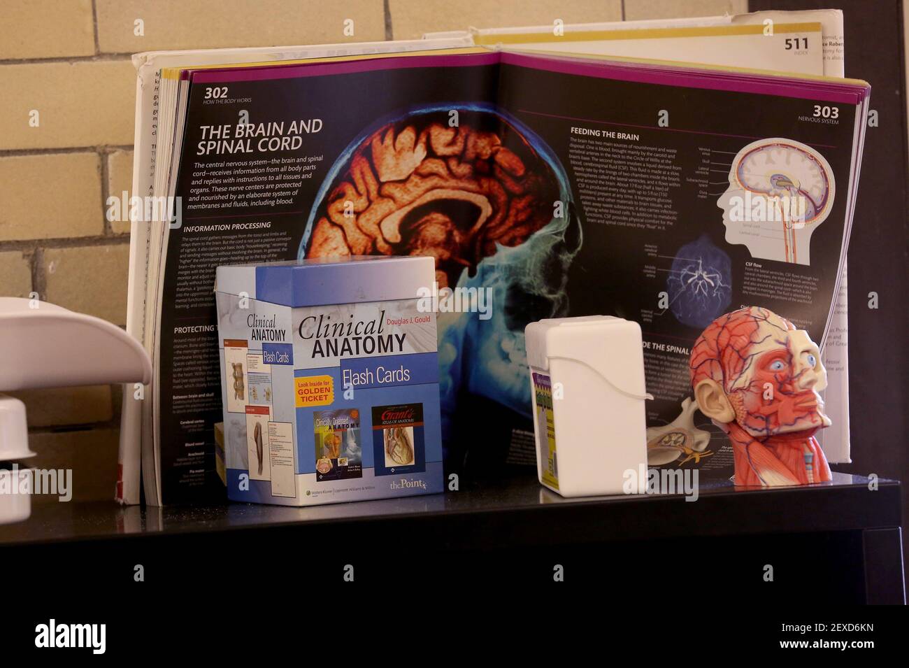 Teaching tools for the health science class at Sullivan High School ...