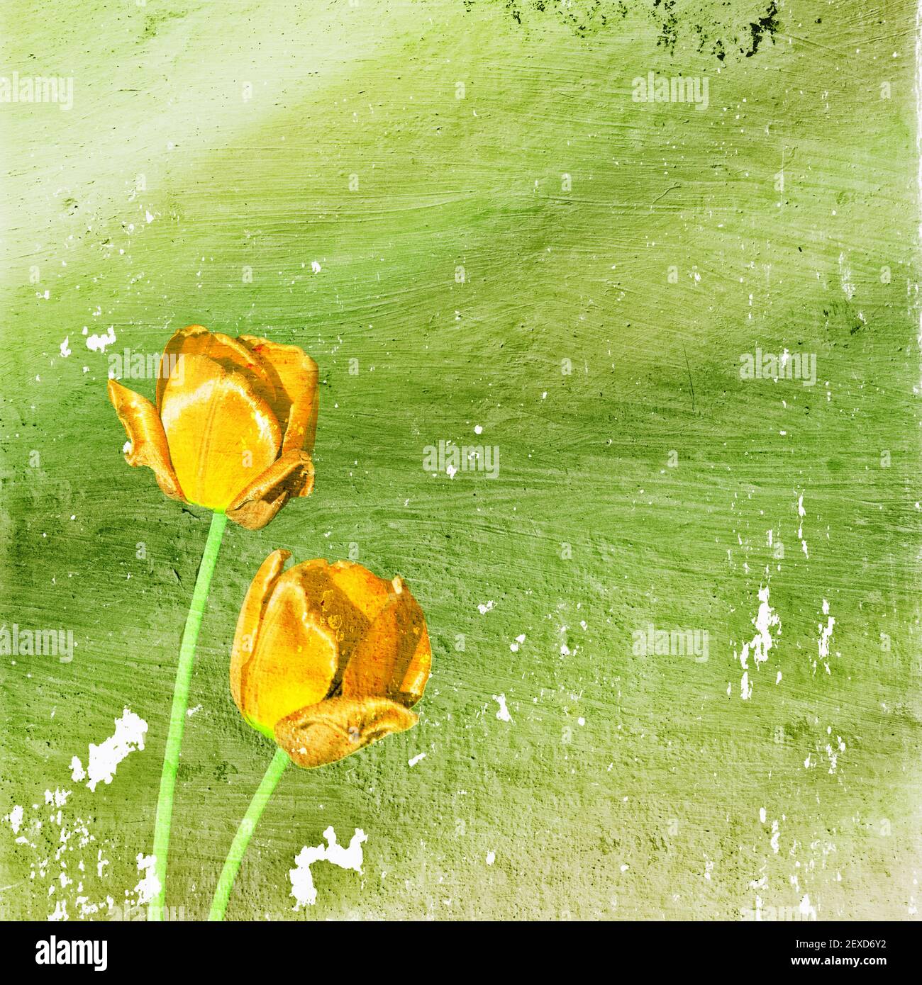 Grunge paper texture. abstract nature background Stock Photo - Alamy
