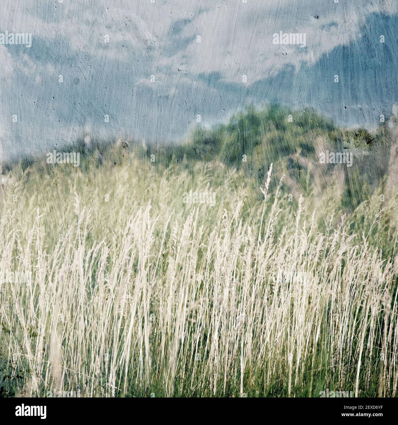 Grunge paper texture. abstract nature background Stock Photo - Alamy