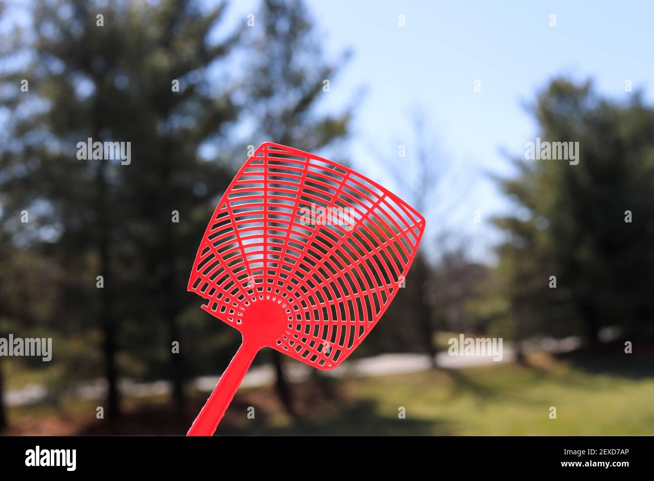 Fly swatter hi-res stock photography and images - Alamy