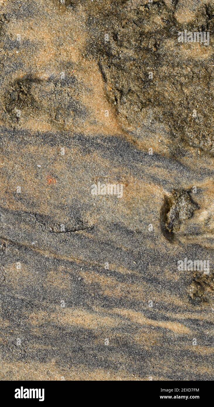 A vertical closeup shot of a dry sandy textured wall with shadows on it ...