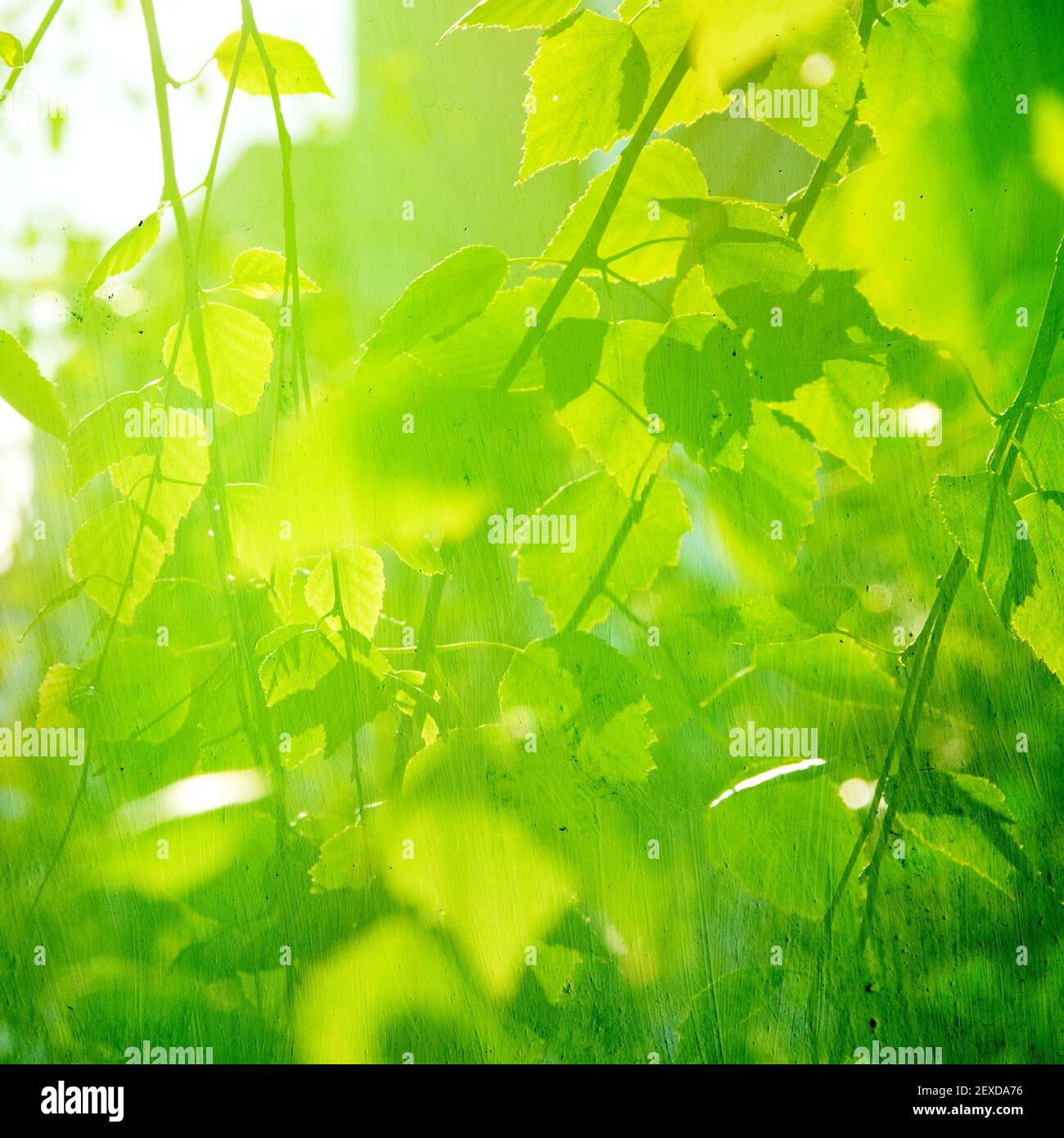 Grunge paper texture. abstract nature background Stock Photo - Alamy