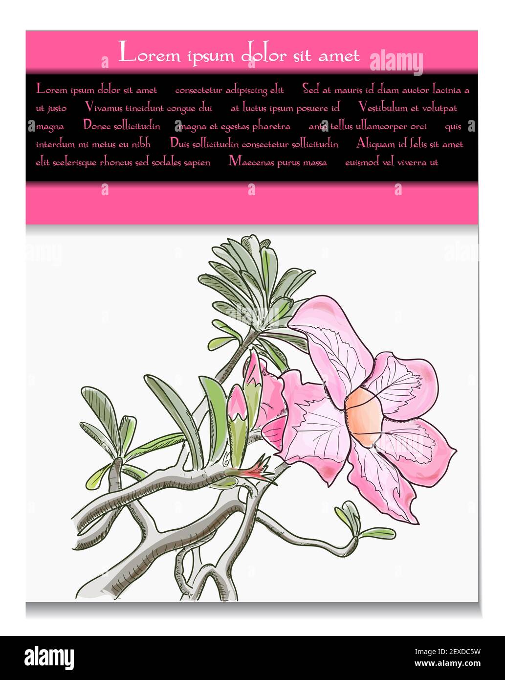 Vector graphic menu book Cut Out Stock Images & Pictures - Alamy