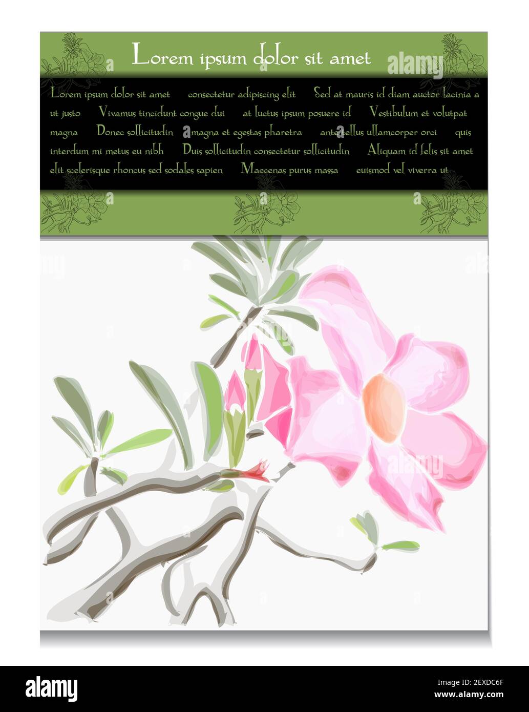 Flower greetings Cut Out Stock Images & Pictures - Alamy