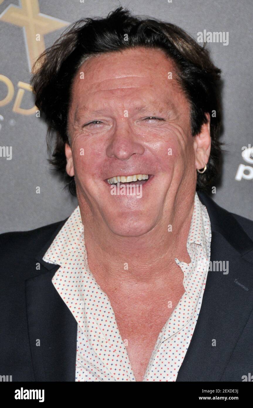 Michael Madsen arrives at the 19th Annual Hollywood Film Awards held at ...