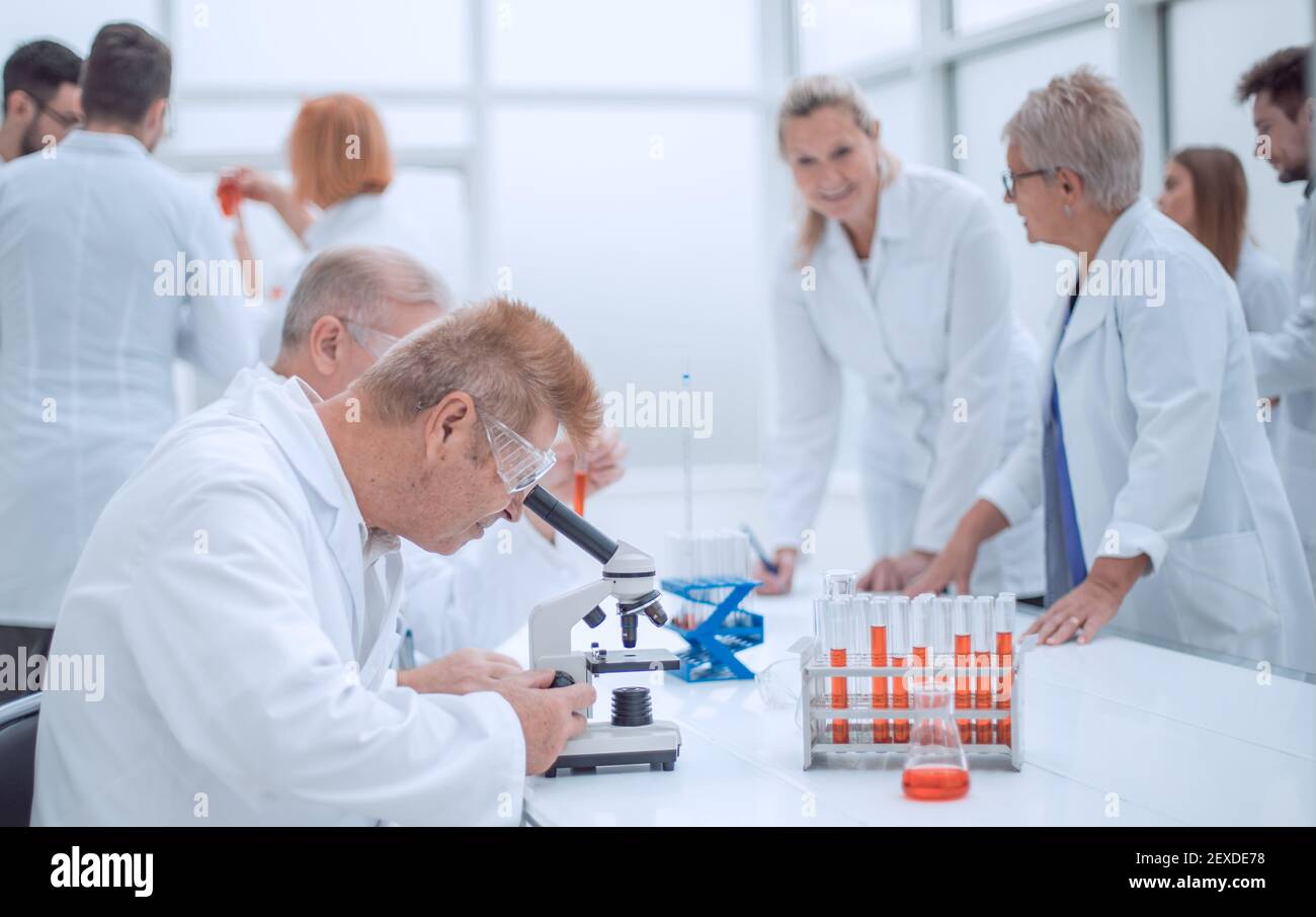 close up. senior researcher looking through a microscope Stock Photo ...