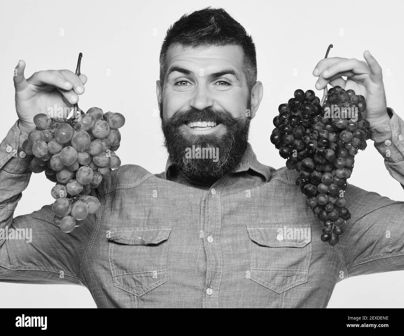 Ripe clusters Black and White Stock Photos & Images - Alamy