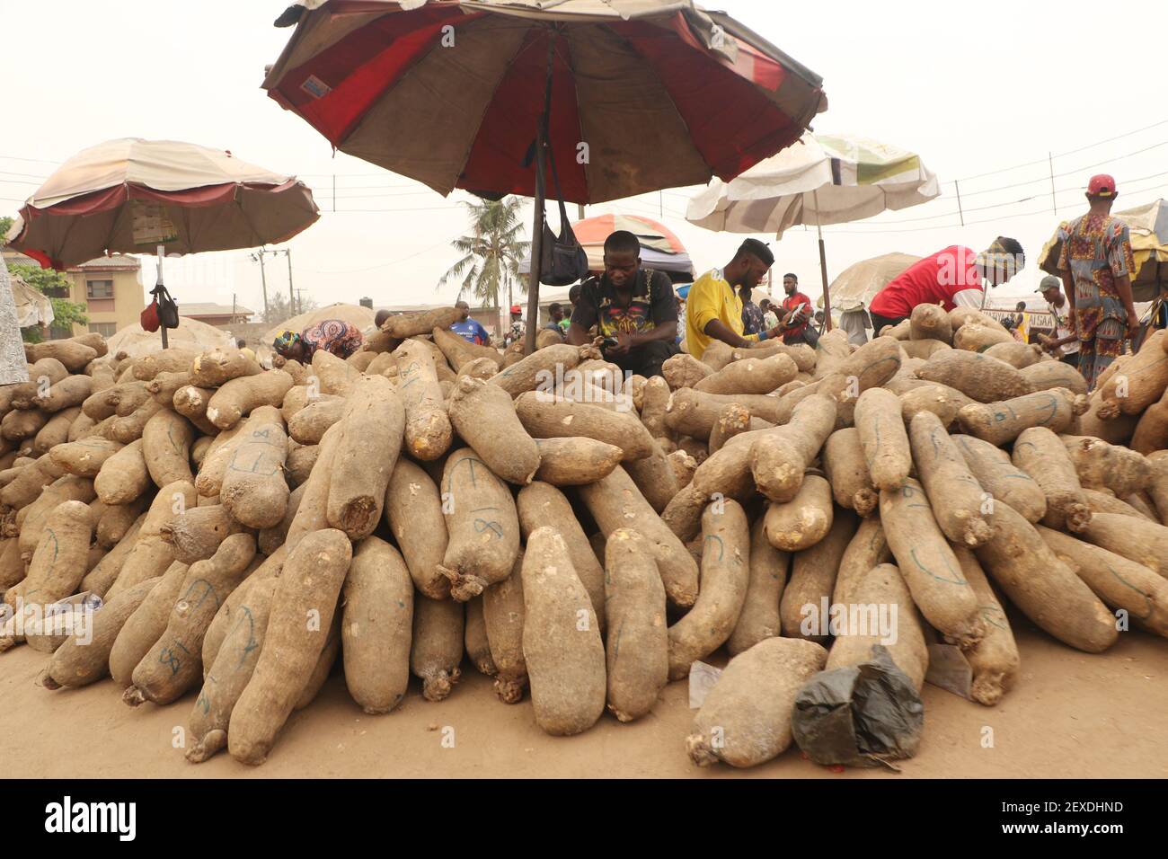 Tubers of Yam are displayed for sale at the Lagos food market in Mile ...