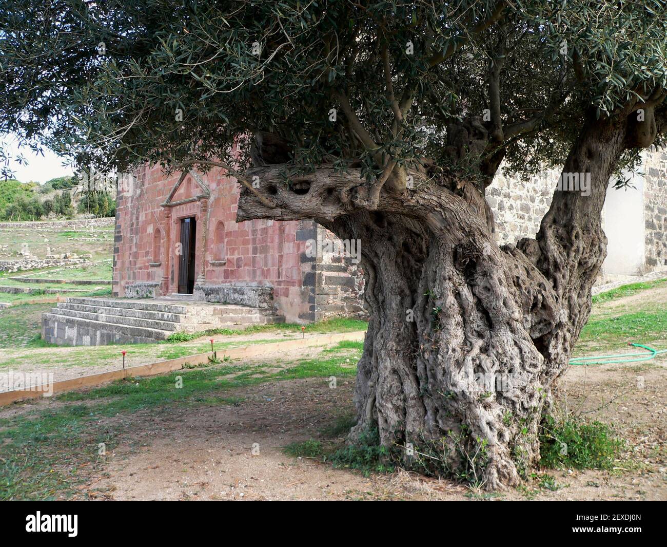 Sedilo, Oristano province, Sardinia, Italy. Santu Antine (San ...