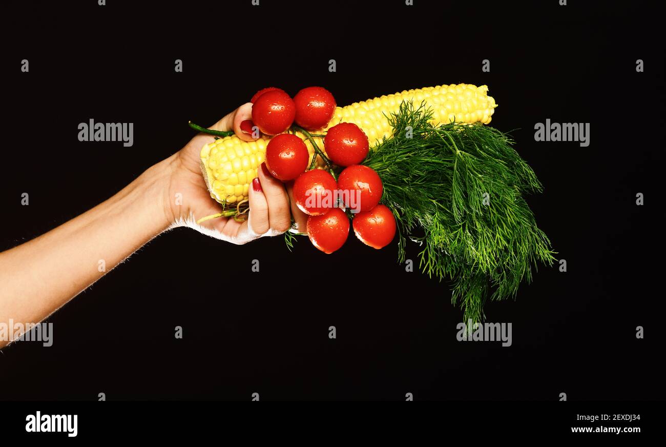 Autumn maize harvest idea. Female hand holds vegetables and bunch of ...