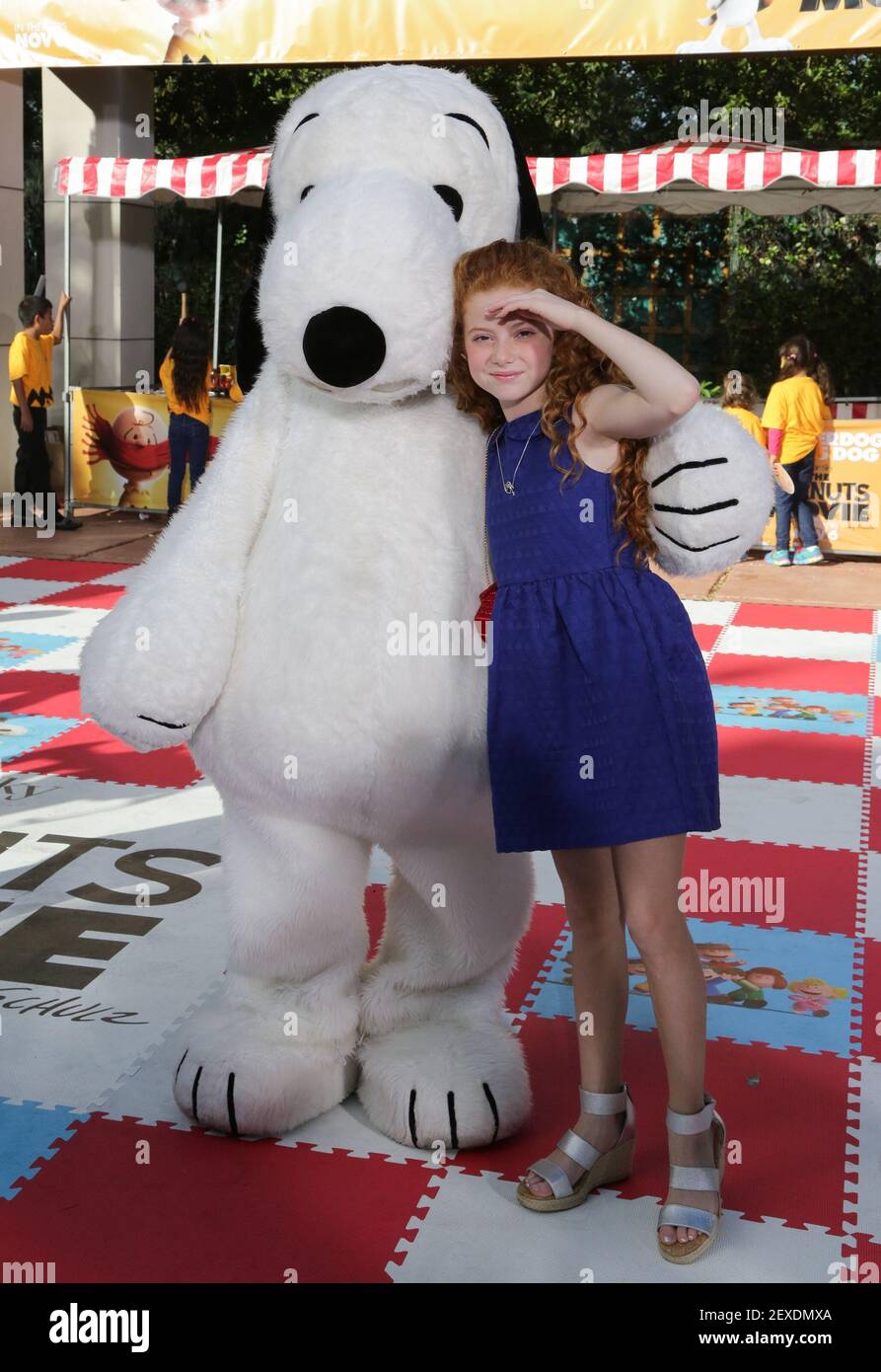 MIAMI, FLORIDA - NOVEMBER 5: Snoopy and Francesca Capaldi are seen ...