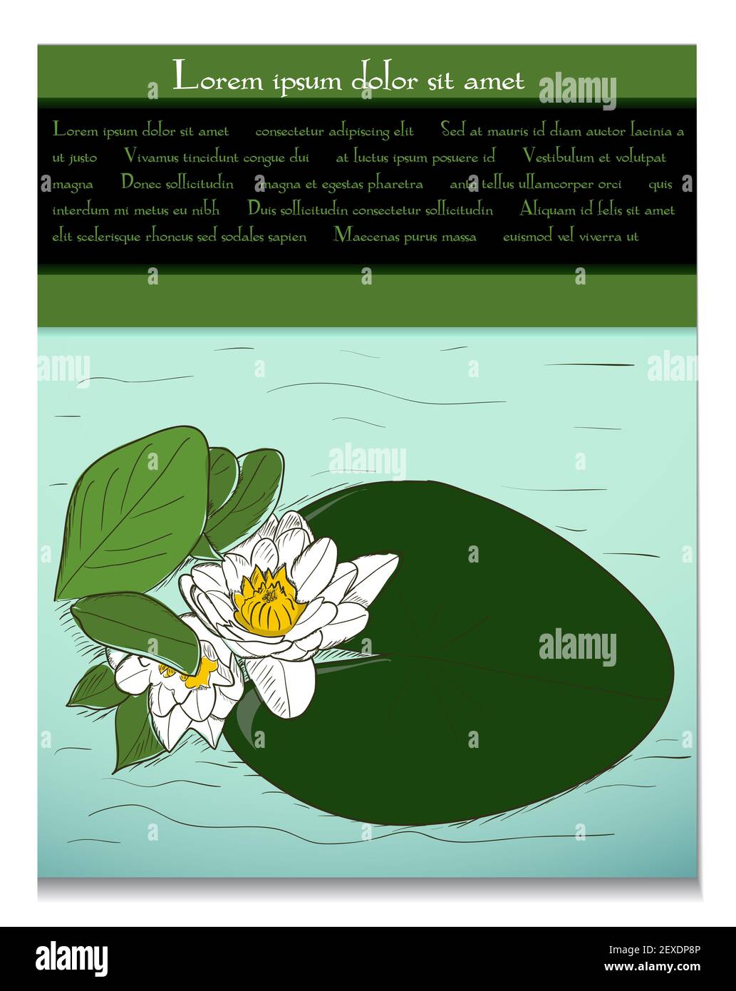 Menu card template Cut Out Stock Images & Pictures - Alamy