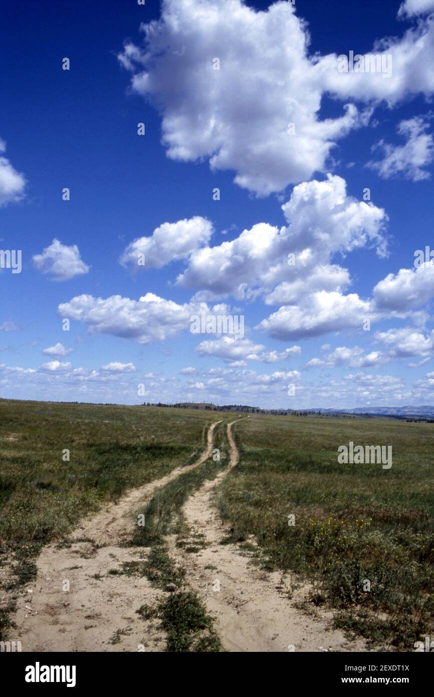 Old dirt road across prairie in the western United States Stock Photo ...