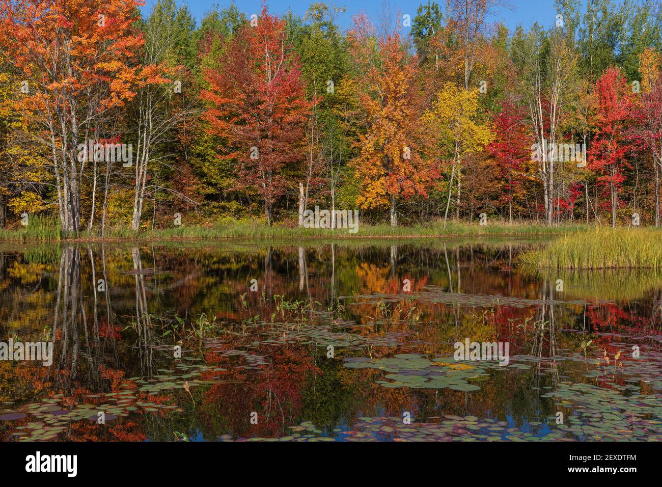 Wisconsins fall colors hi-res stock photography and images - Alamy