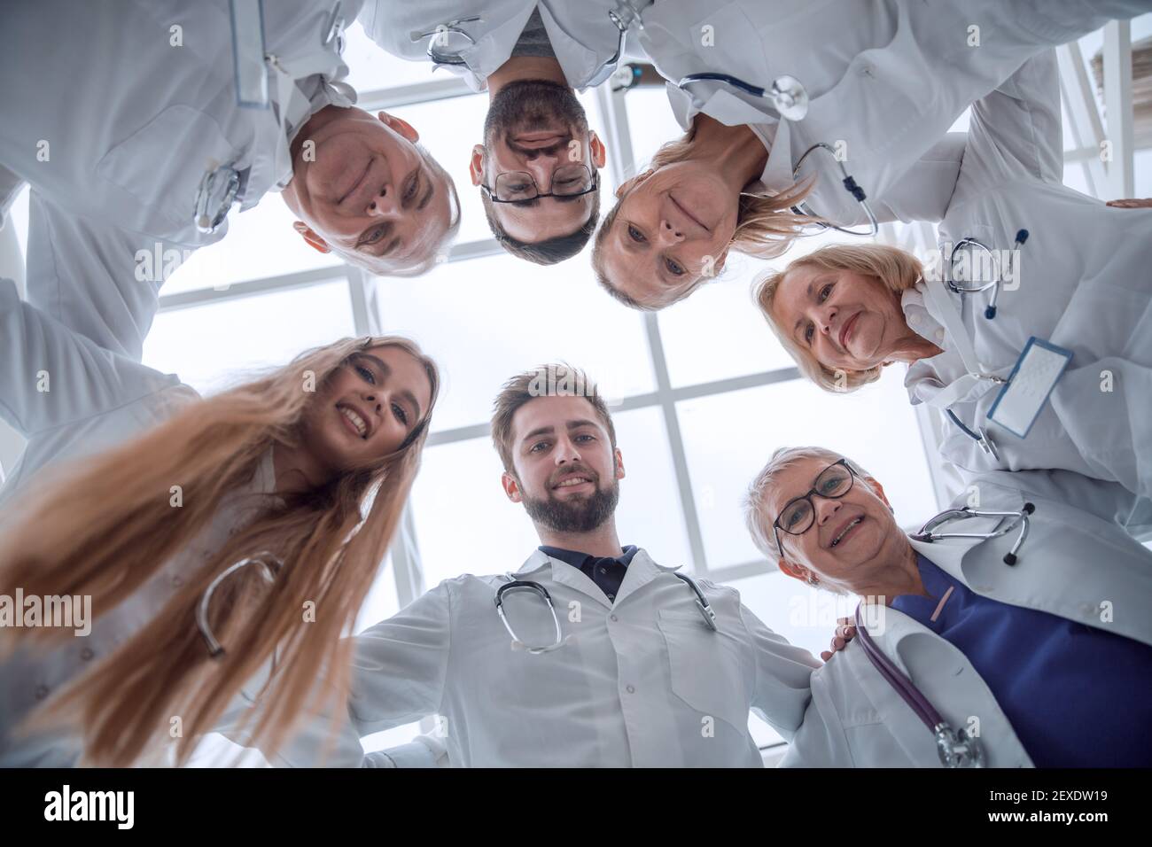 Diverse scientists group success hi-res stock photography and images ...