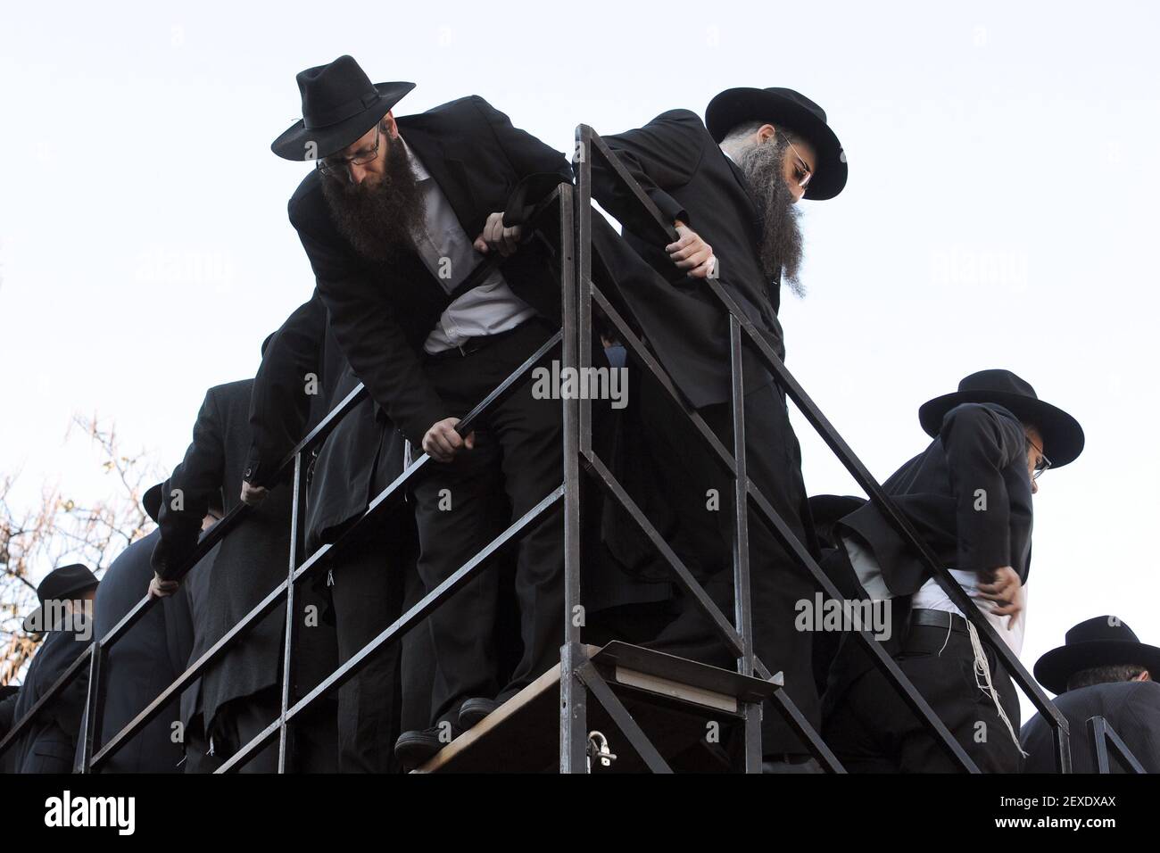 Seen from behind standing tightly packed along rafters, thousands of ...