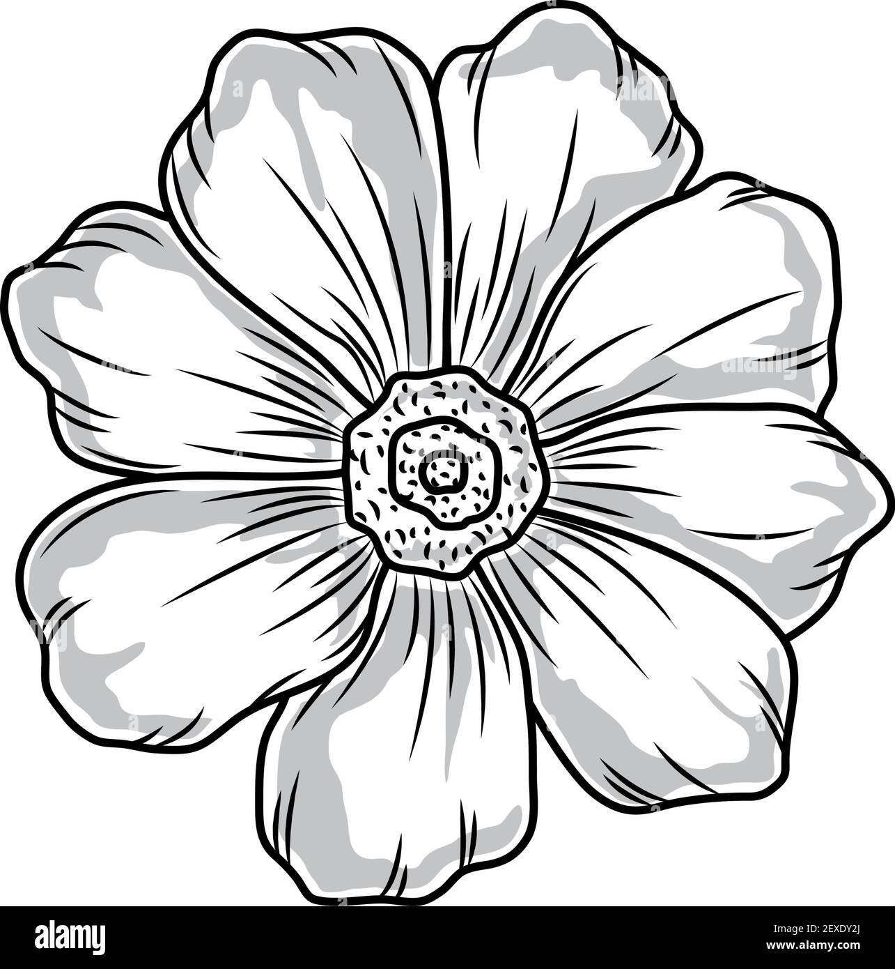 flower floral nature sketch icon Stock Vector Image & Art - Alamy