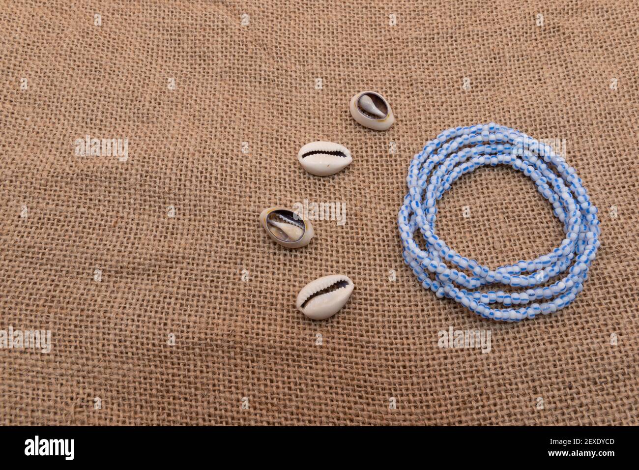 Representative photograph of Babalu Aye orisha necklace and snails of ...