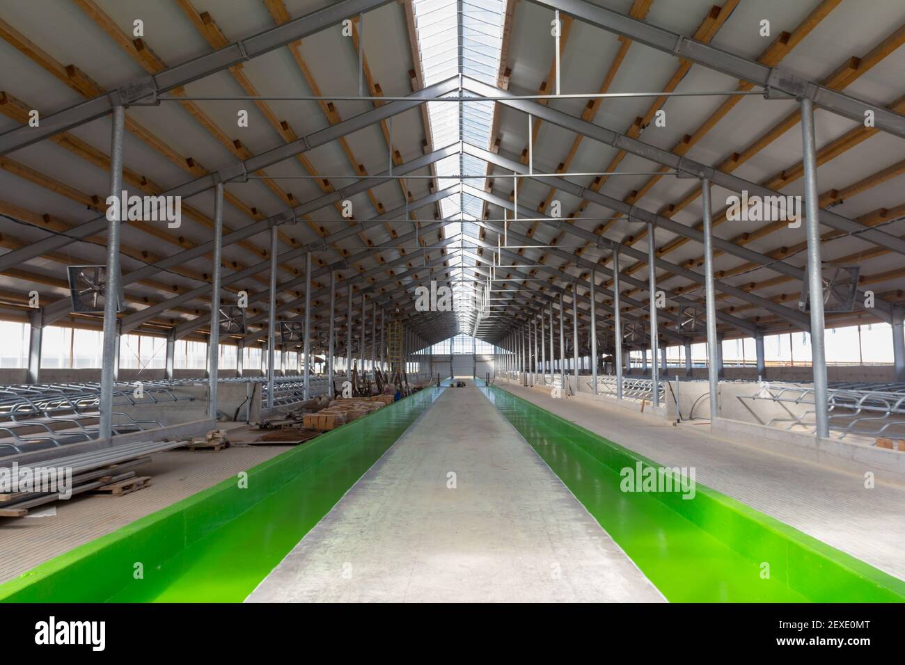 Construction of a new modern cowshed on the farm. Cowshed inside. New ...