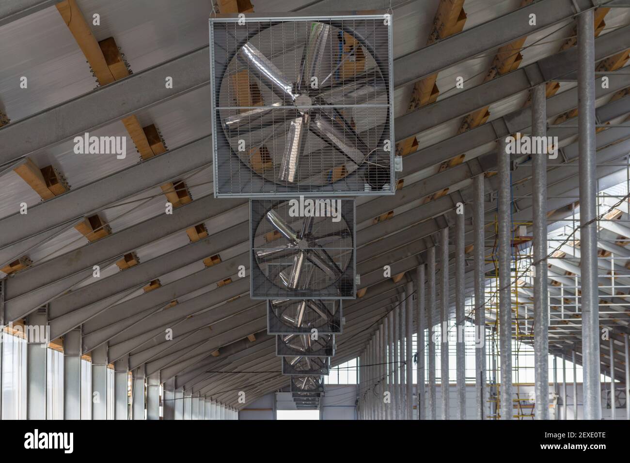 Construction of a complex from a metal frame and sandwich panels ...