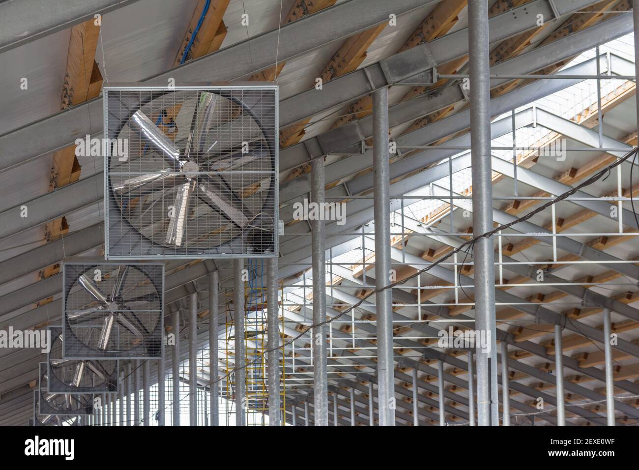 Construction of a complex from a metal frame and sandwich panels ...