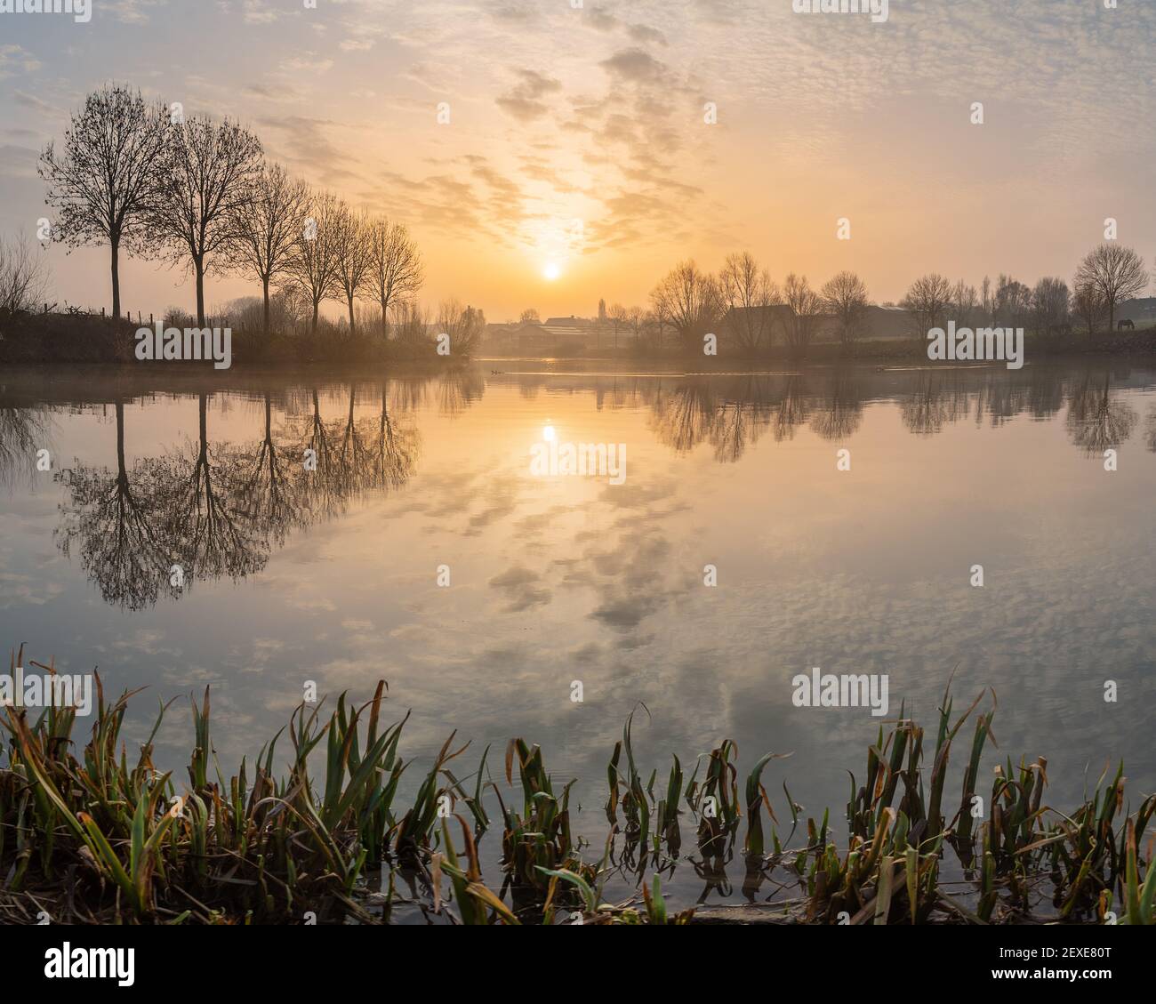 a body of water surrounded by trees. Een sfeervolle zonsopkomst langs ...