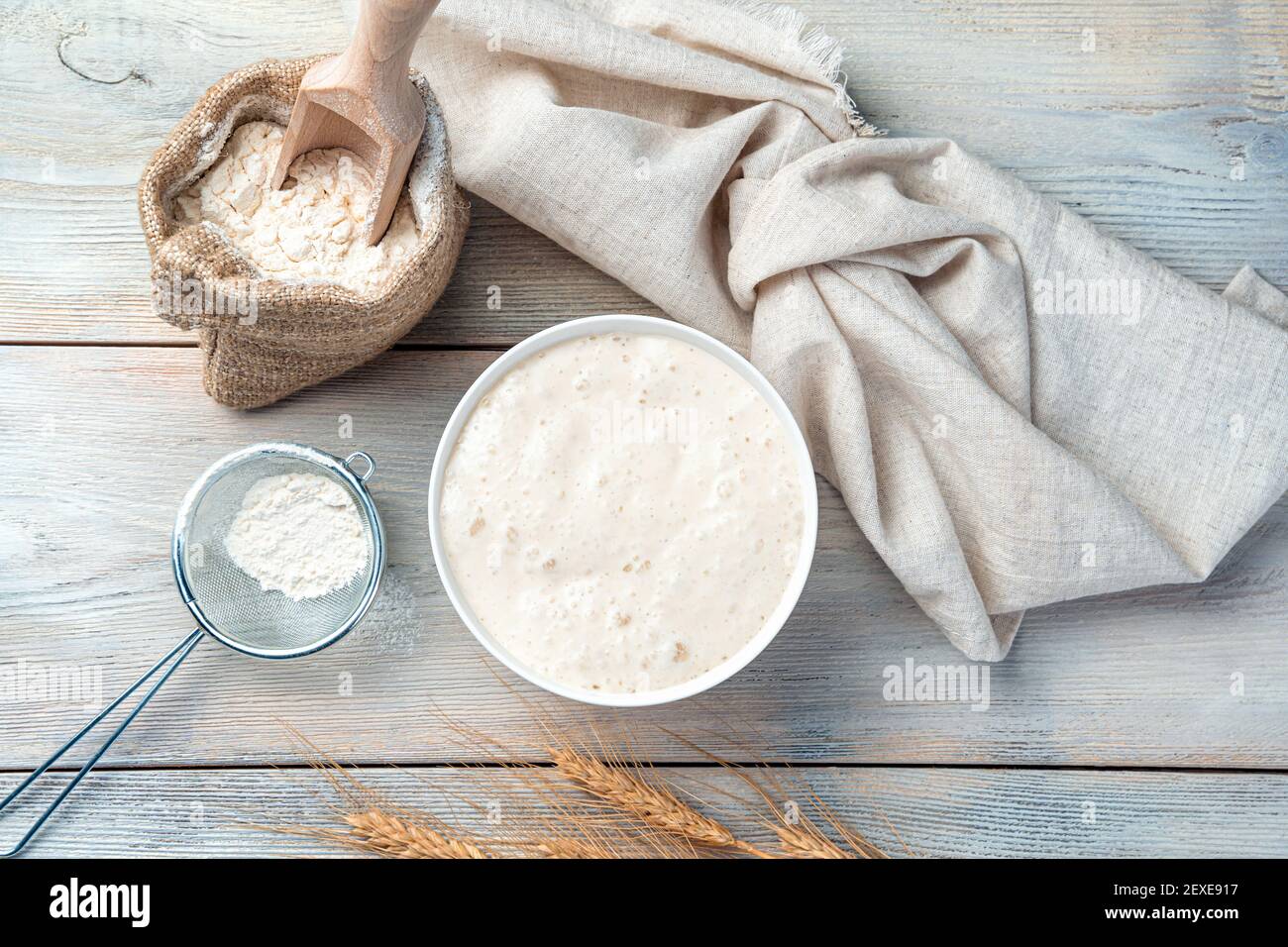 Fermentation of bread. Wheat sourdough and flour on a light background ...