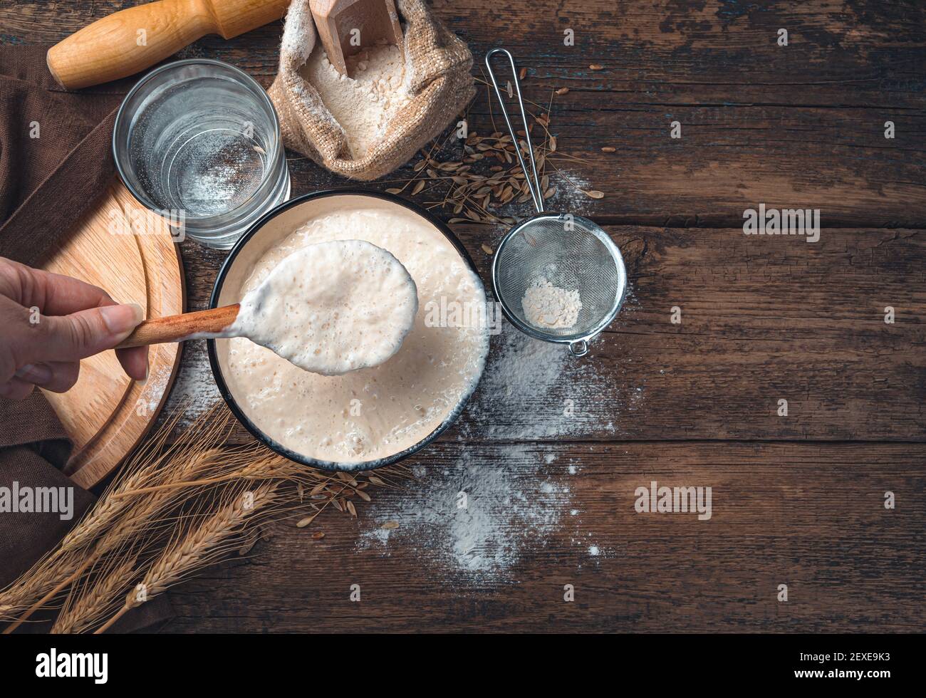 The cook's hand stirs the leaven. Flour, sourdough, water, wheat on a ...