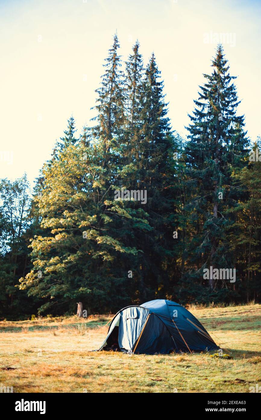 A black tent on the grassy field surrounded by trees in the woods Stock ...