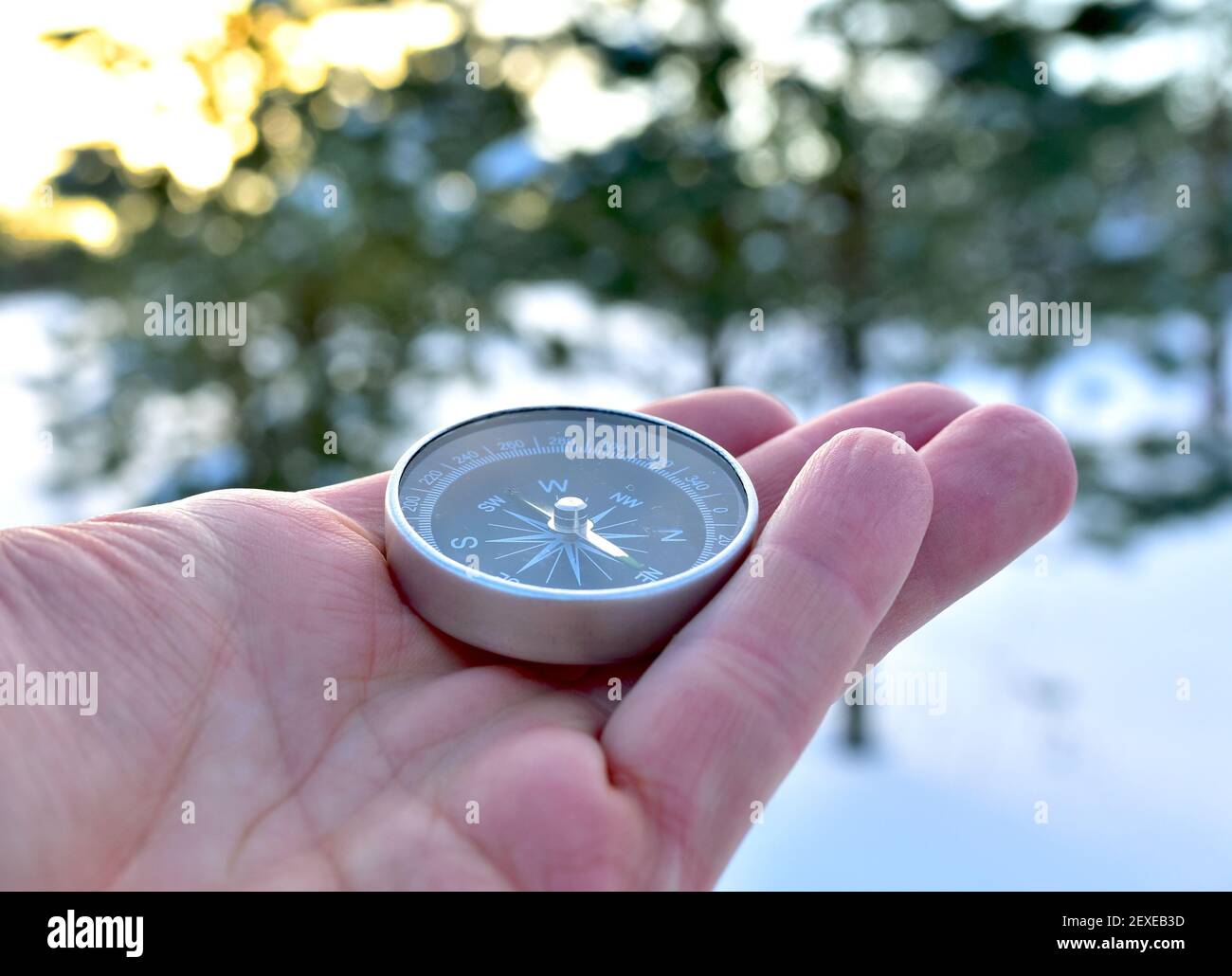 Compass in hand on snow background. Orientation on terrain in forest ...