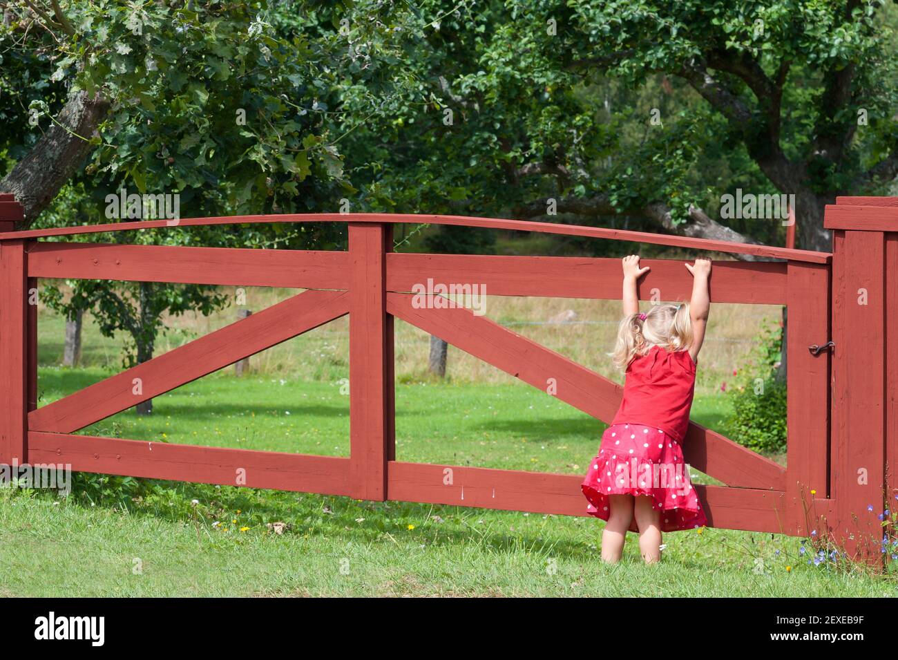 Little girl playing on a gate Stock Photo - Alamy