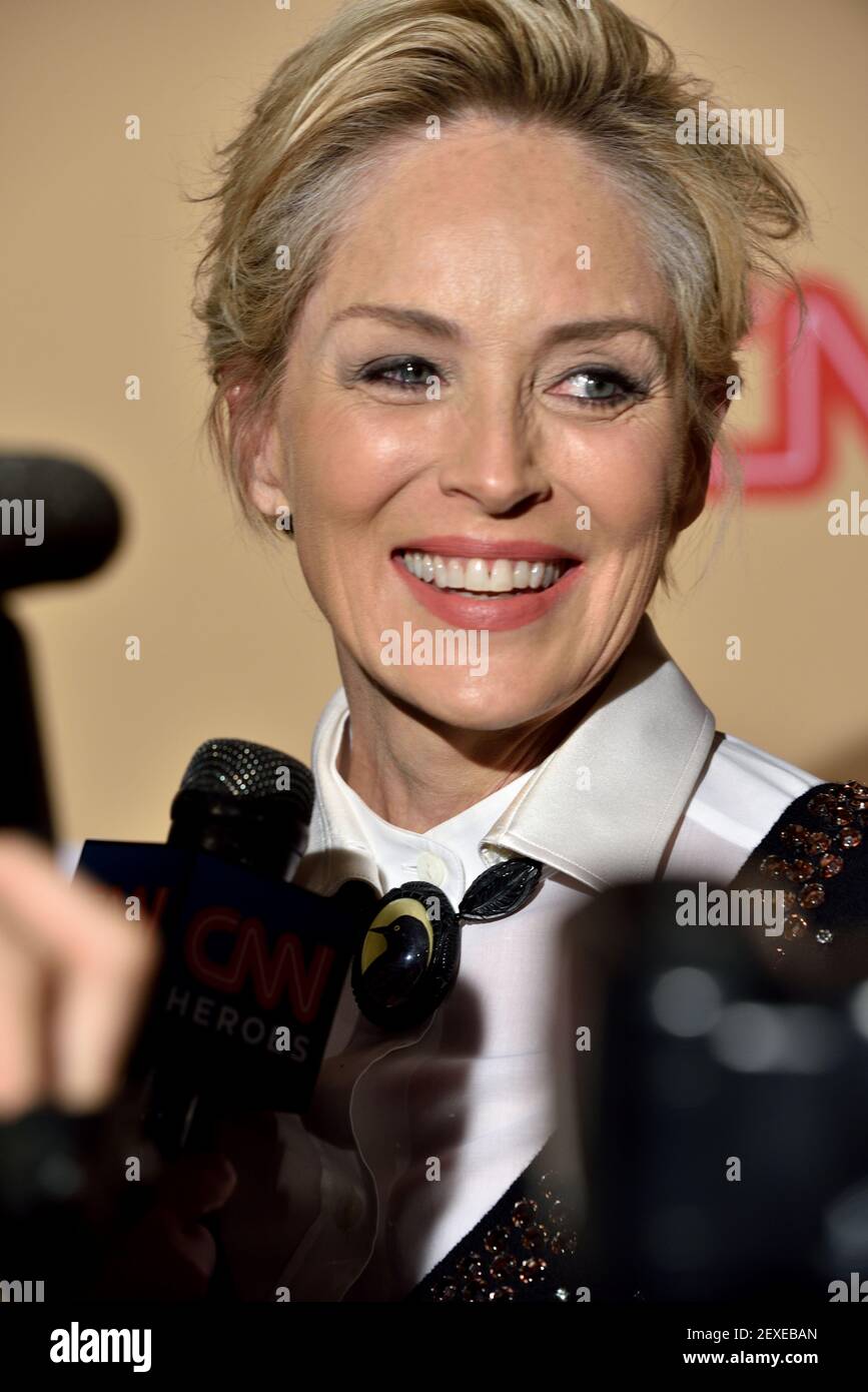 Actress Sharon Stone attends the CNN Heroes: An All-Star Tribute at the ...